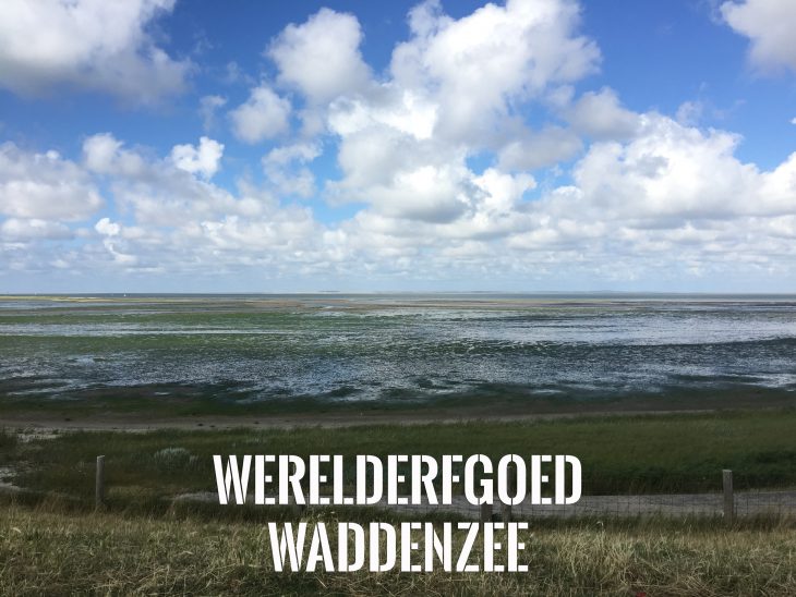 Beleef het Werelderfgoed Waddenzee met mijn 5 tips.