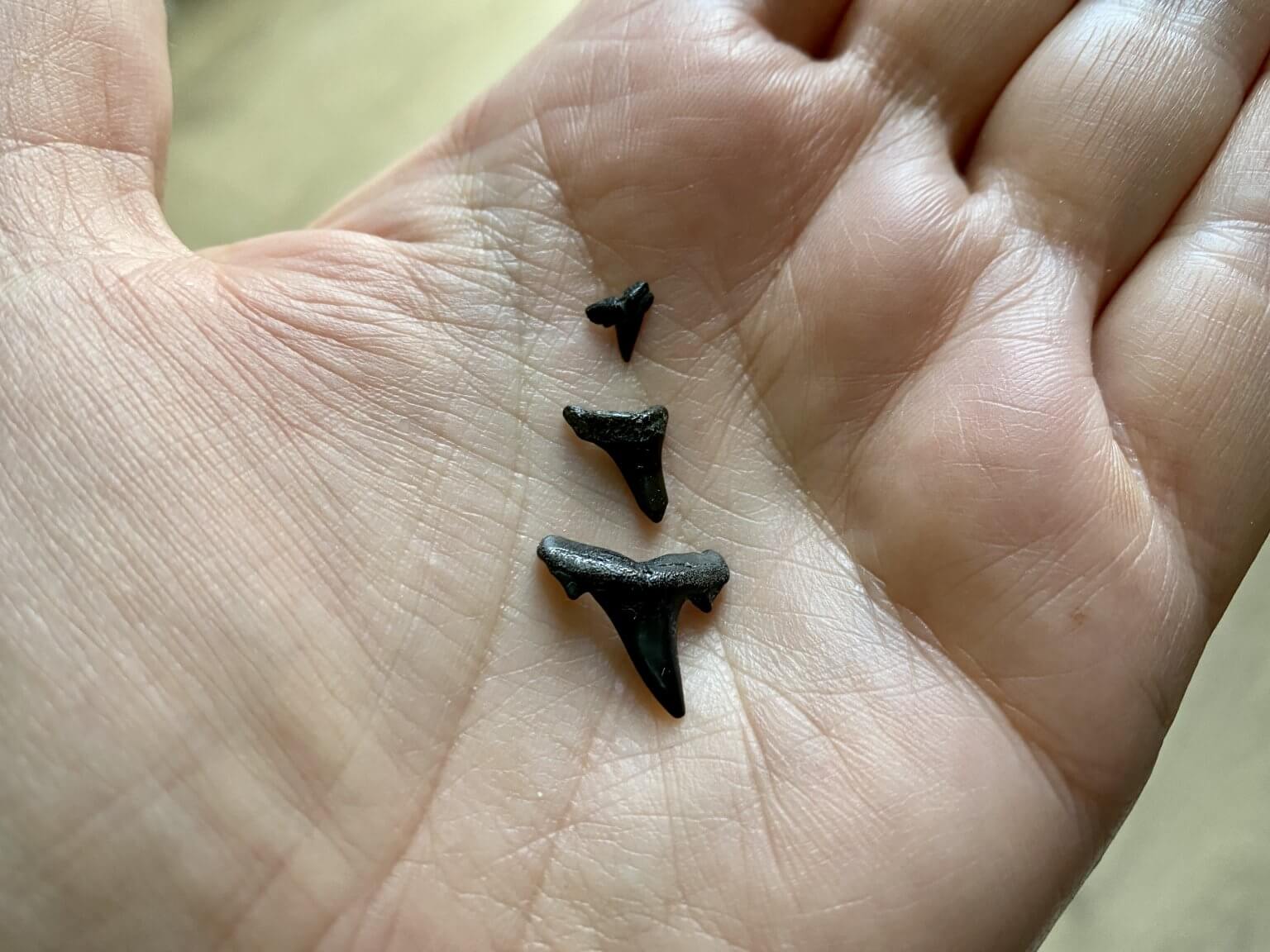 Tips voor een week(end) in Zeeuws-Vlaanderen